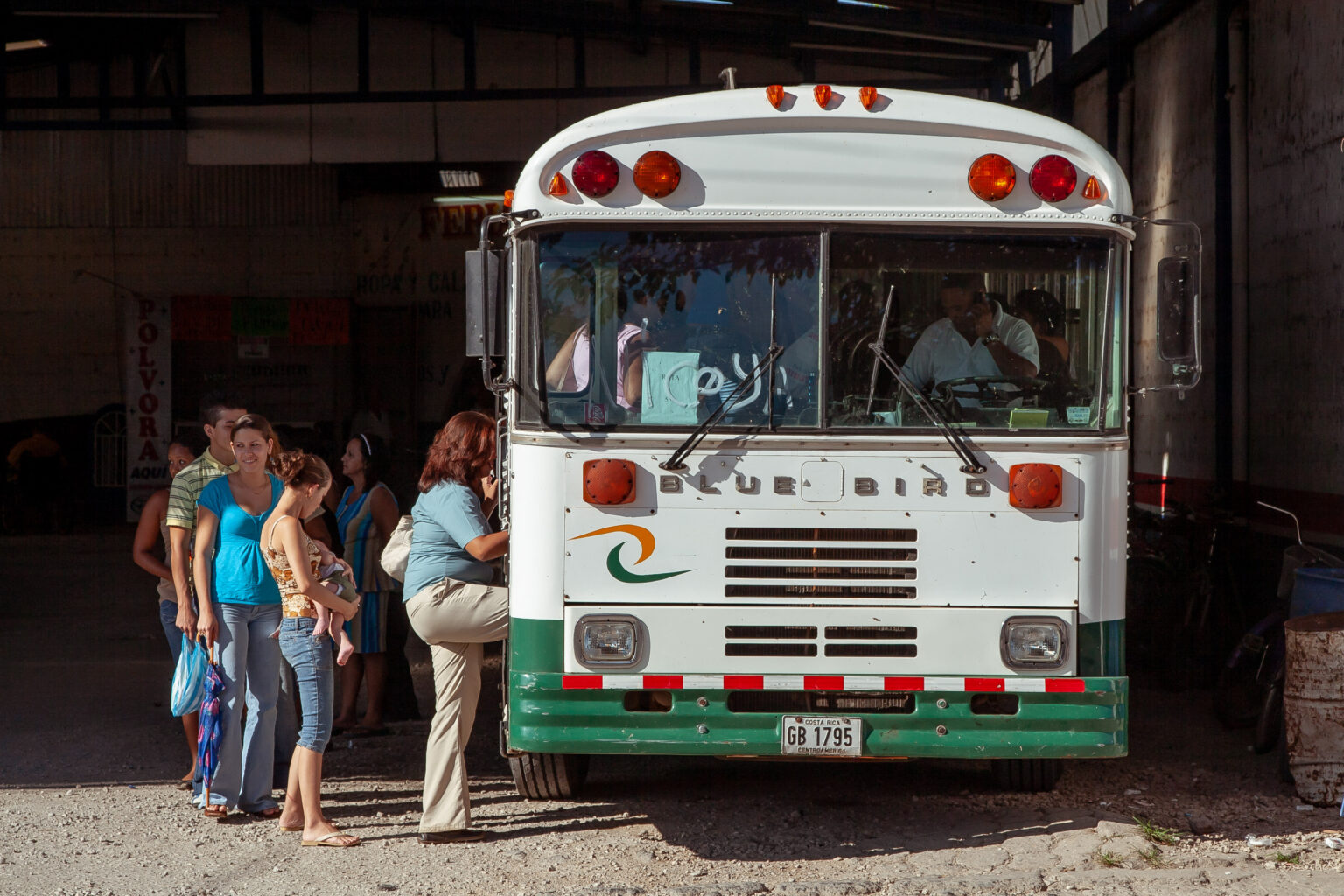 Costarican Natives - Let's discover